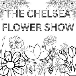 Chelsea Flower Show Colouring