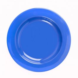 6 Healthcare Plates 254mm Plate, Blue